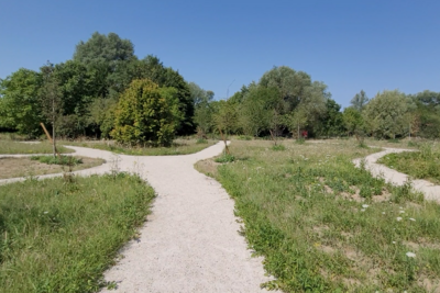 Arboretum au Parc du Pâtis - Ville de Meaux